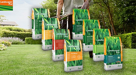 ICL Landscaper Fűmagok Archives - Tájkertész